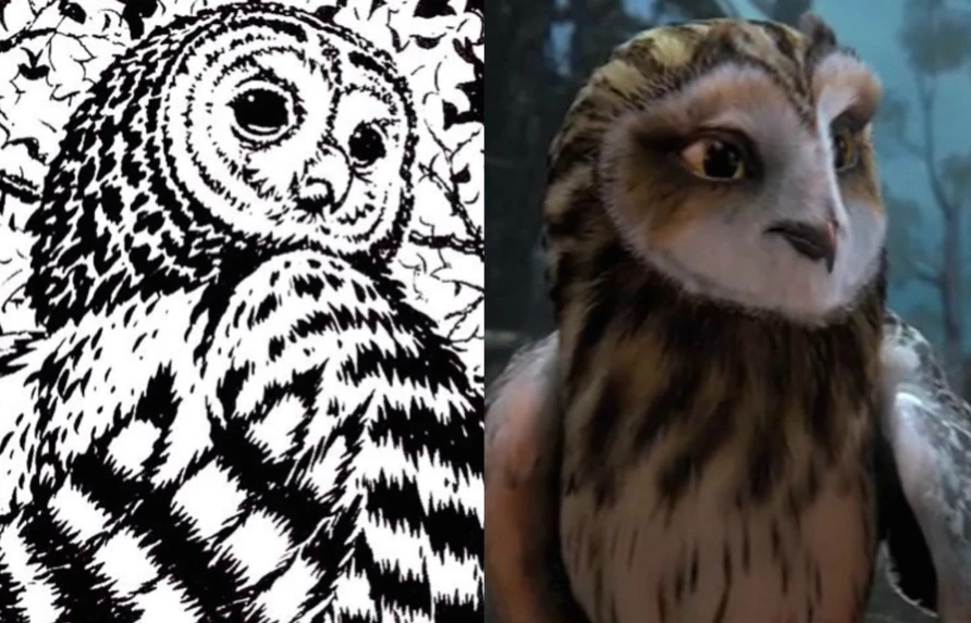 Otulissa (Books) | Guardians of Ga’Hoole Wiki | Fandom powered by Wikia