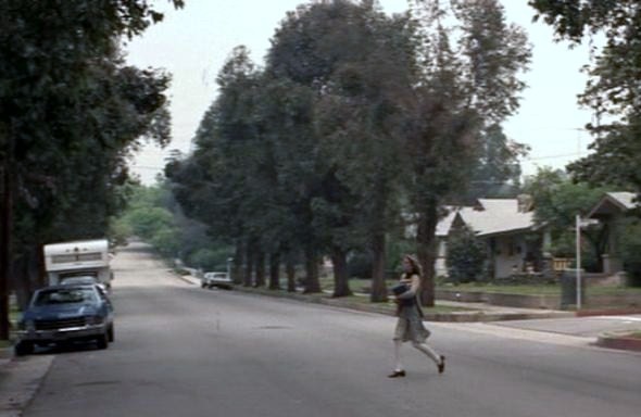 Haddonfield, Illinois | Halloween Series Wiki | FANDOM powered by Wikia Haddonfield, Illinois | Halloween Series Wiki | FANDOM powered by Wikia