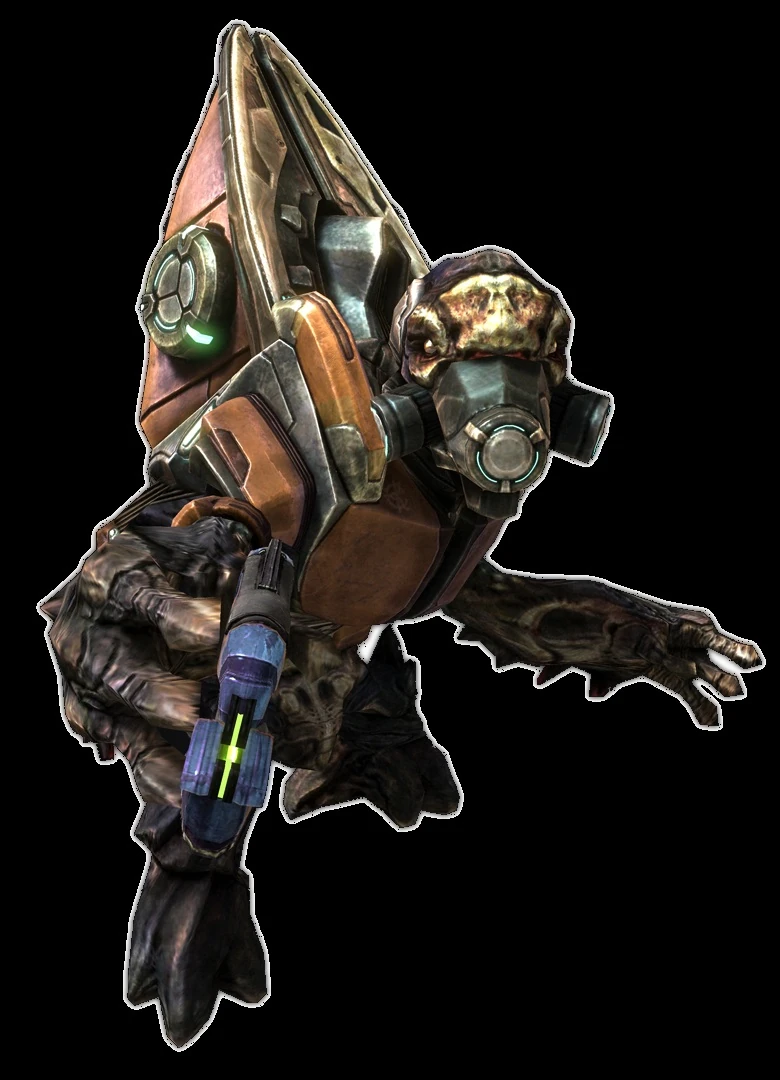 Grognards | fr.Halopedia | FANDOM powered by Wikia