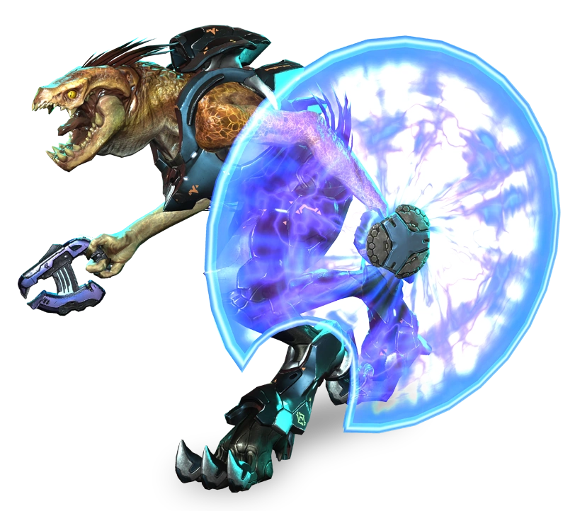 Jackal Slayer | Halo Nation | Fandom powered by Wikia