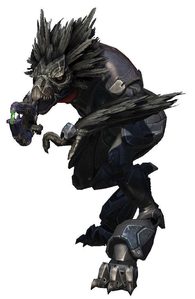 Categoria:Jackal | Halopedia | Fandom powered by Wikia