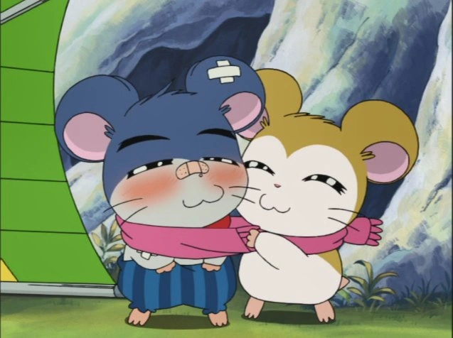 Skyham in Love | The Hamtaro Wiki | Fandom powered by Wikia