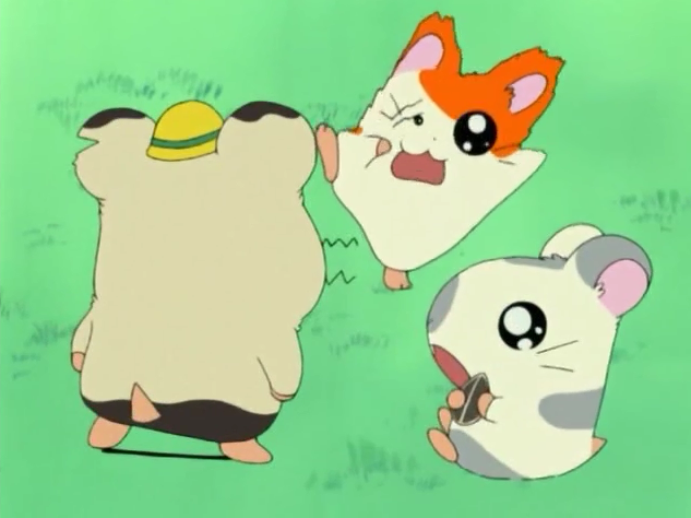 Hamtarogallery The Hamtaro Wiki Fandom Powered By Wikia