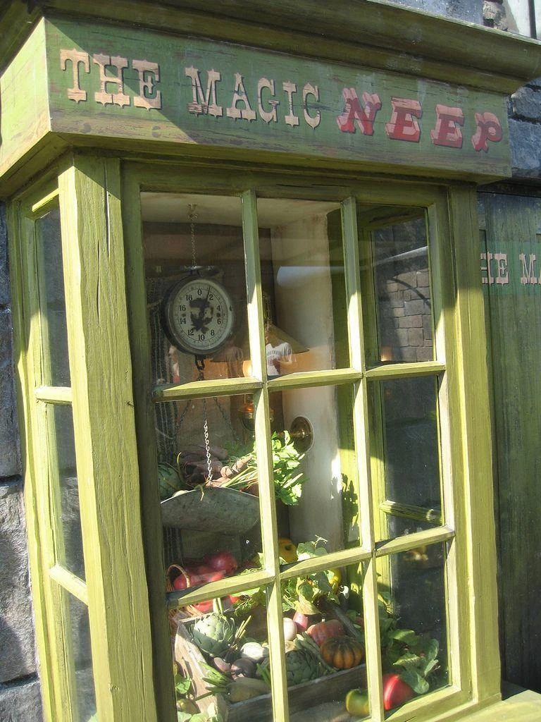 The Magic Neep | Harry Potter Wiki | FANDOM powered by Wikia