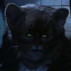 Kot Milicenty Bulstrode | Harry Potter Wiki | FANDOM powered by Wikia