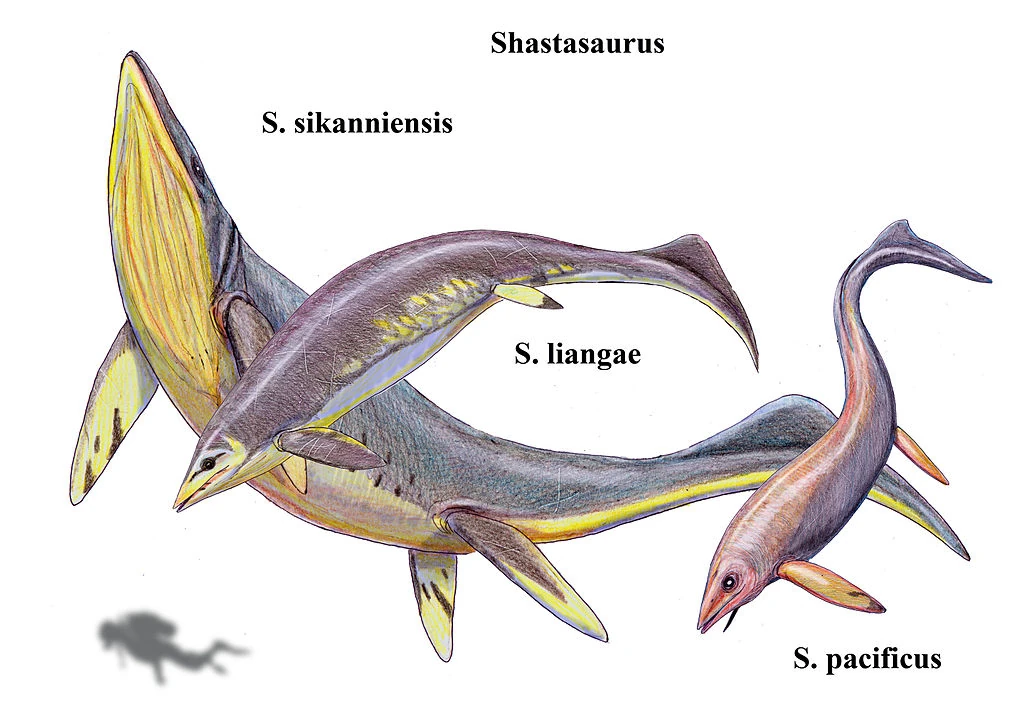 Ichthyosaurs Meaning