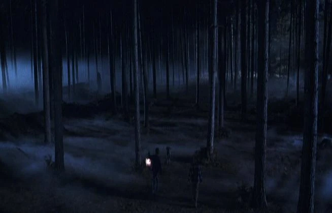 Forbidden Forest | Hogwarts and the Wizarding World Roleplay Wiki ...