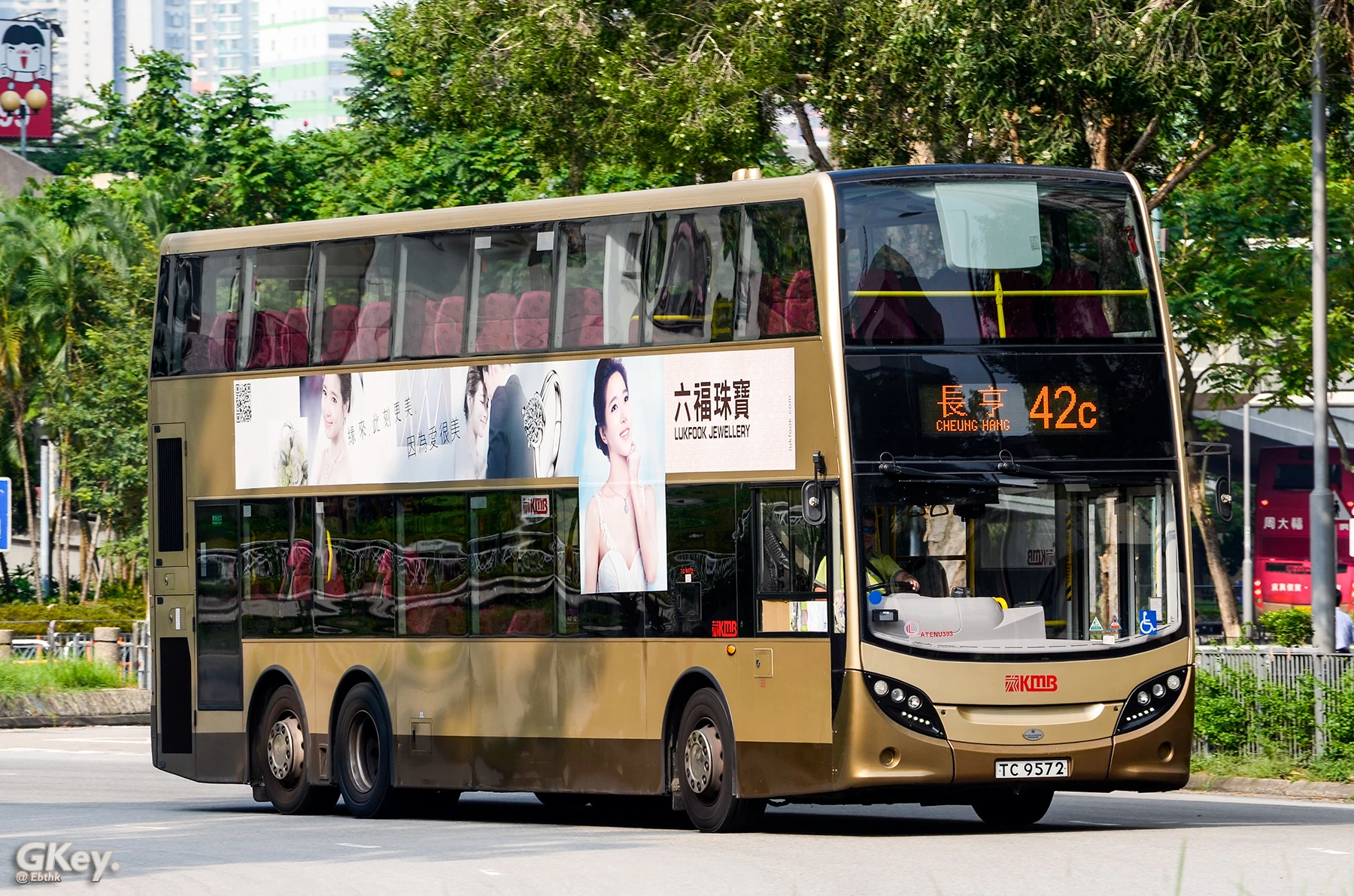 九巴42C線 | 香港巴士大典 | Fandom powered by Wikia