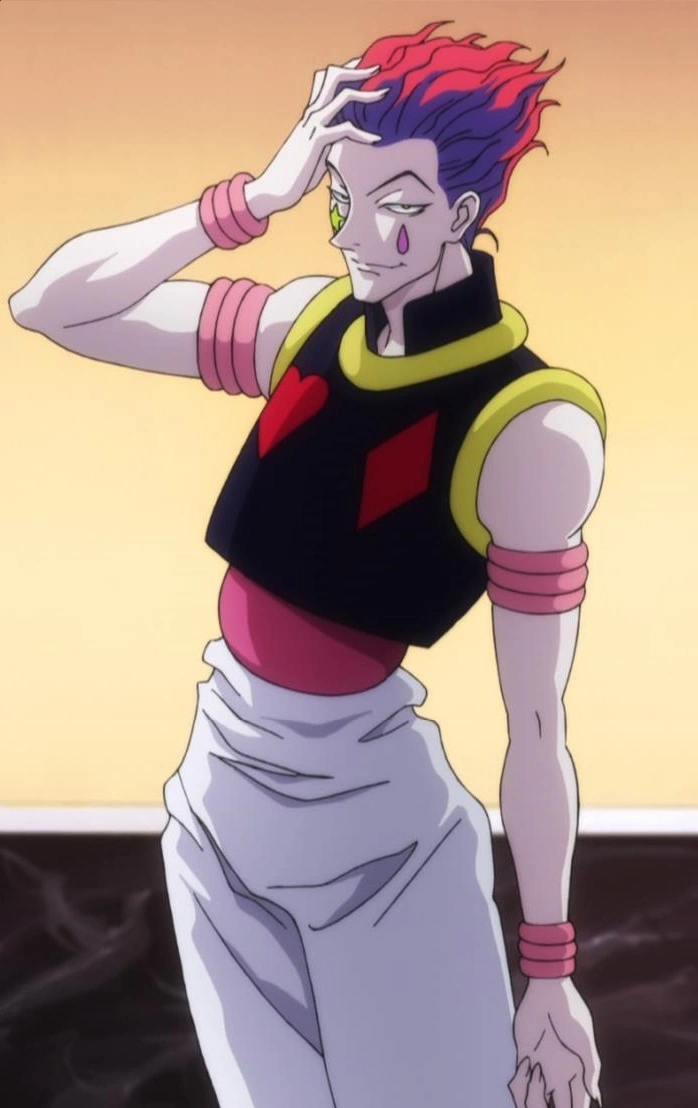 Fichier:Hisoka in heavens arena.jpg.png | Wiki Hunter x Hunter | Fandom ...