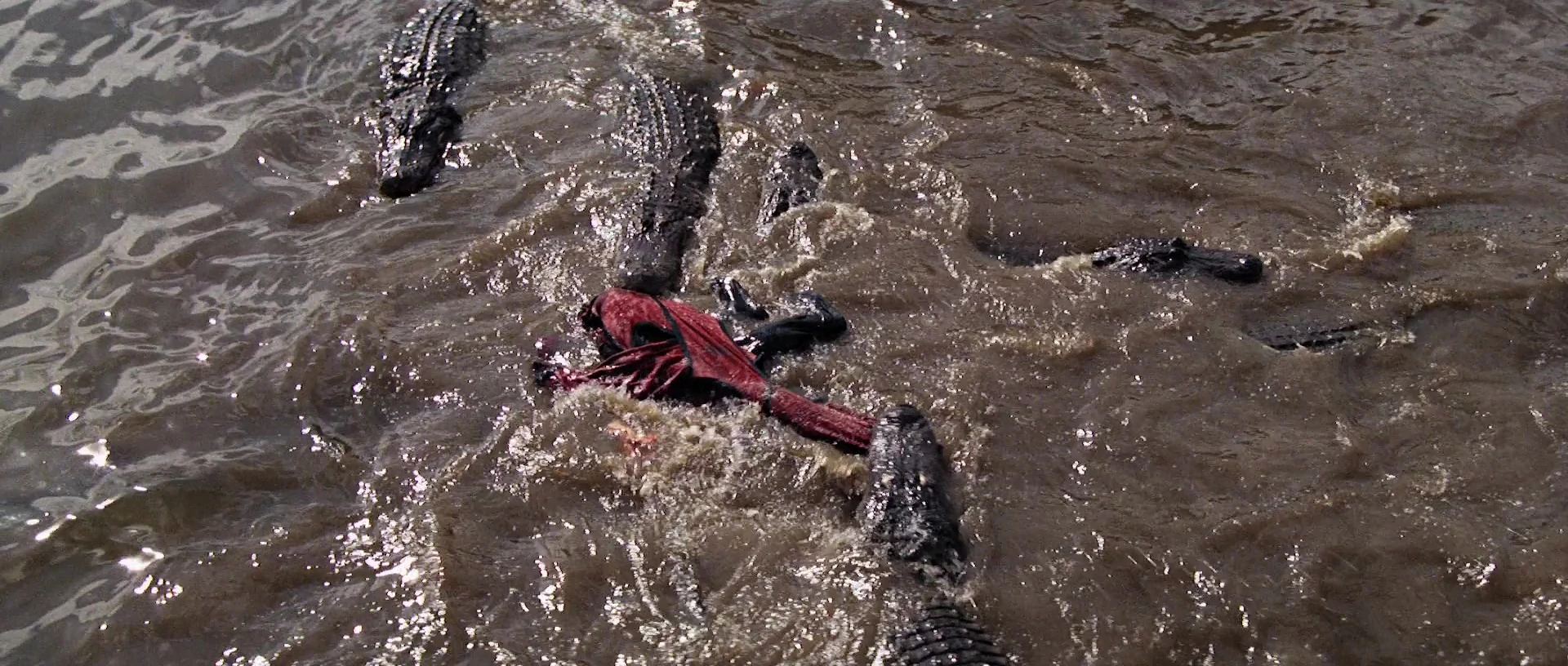 Crocodile | Indiana Jones Wiki | Fandom powered by Wikia