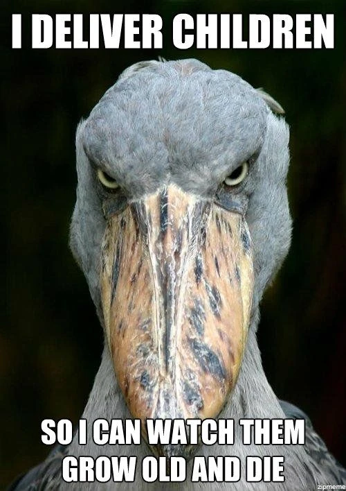 Storks Memes