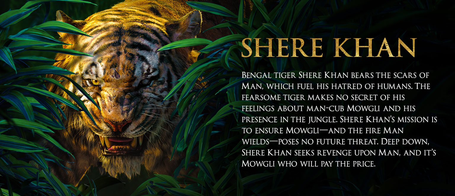 Image 575fcddf1e98d44c1a34b937c13b76018e0679c6 Jungle Book Wiki
