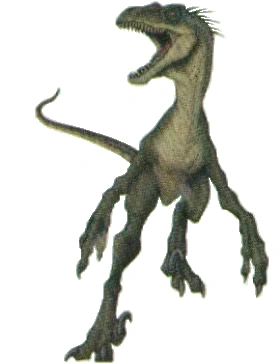 Image - Male Raptor Artwork.png | Jurassic Park wiki | FANDOM powered ...