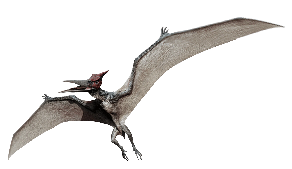 Pteranodon | Wikia Jurassic Park | FANDOM powered by Wikia