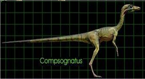 Image Compsognathus Jp3png Jurassic Park Wiki Fandom Powered By