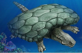 Henodus | Jurassic Park Wiki | FANDOM powered by Wikia