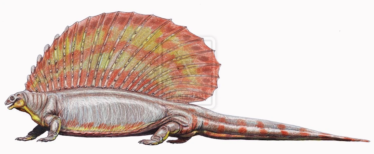 Edaphosaurus | Jurassic Park Wiki | Fandom powered by Wikia