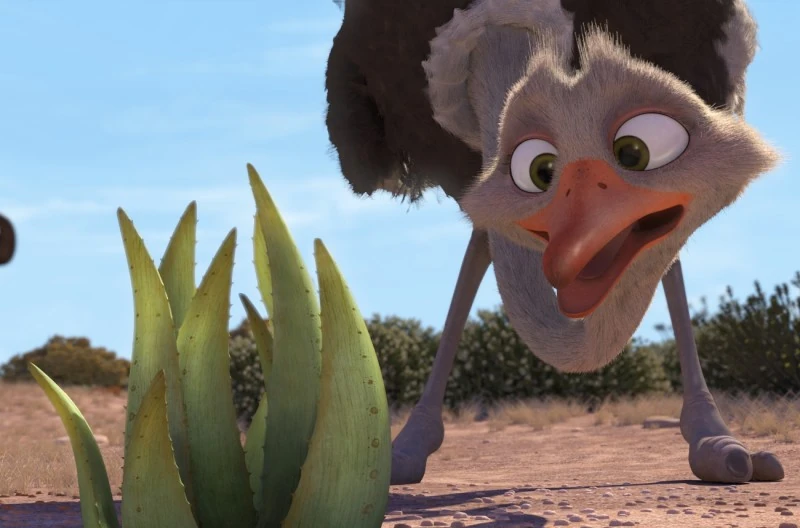 Bradley | Khumba Wiki | Fandom powered by Wikia