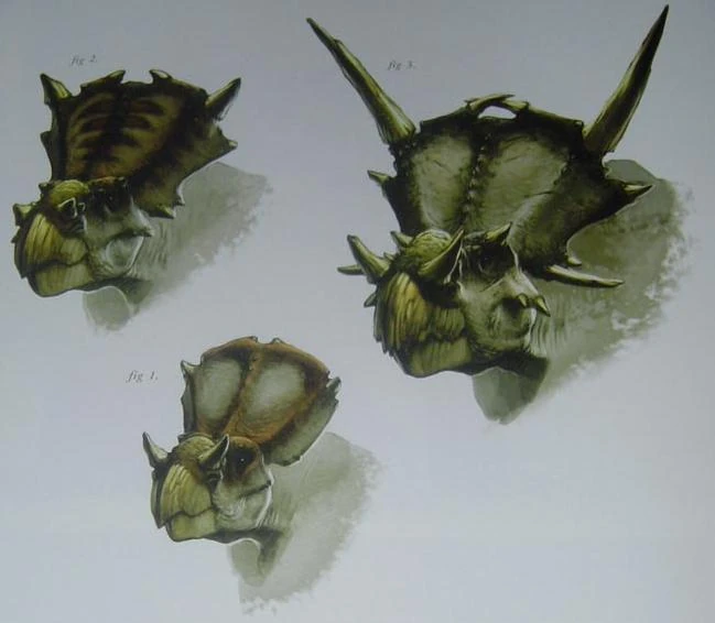 Plik:Ferr.jpg | King Kong Wiki | Fandom powered by Wikia