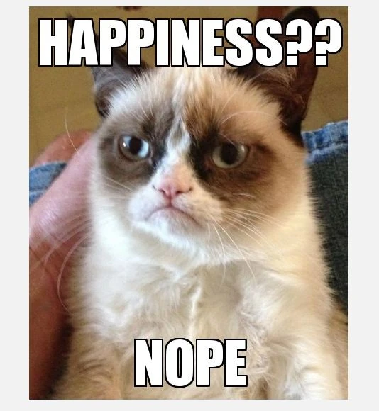 Image - Grumpy Cat Happiness.jpg | LEGO Message Boards Wiki | FANDOM ...