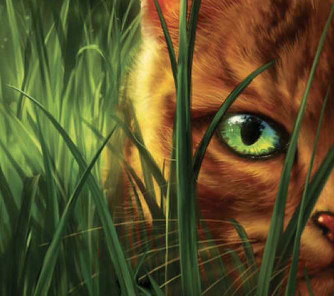 Étoile de Feu | Wiki La guerre des Clans | FANDOM powered by Wikia