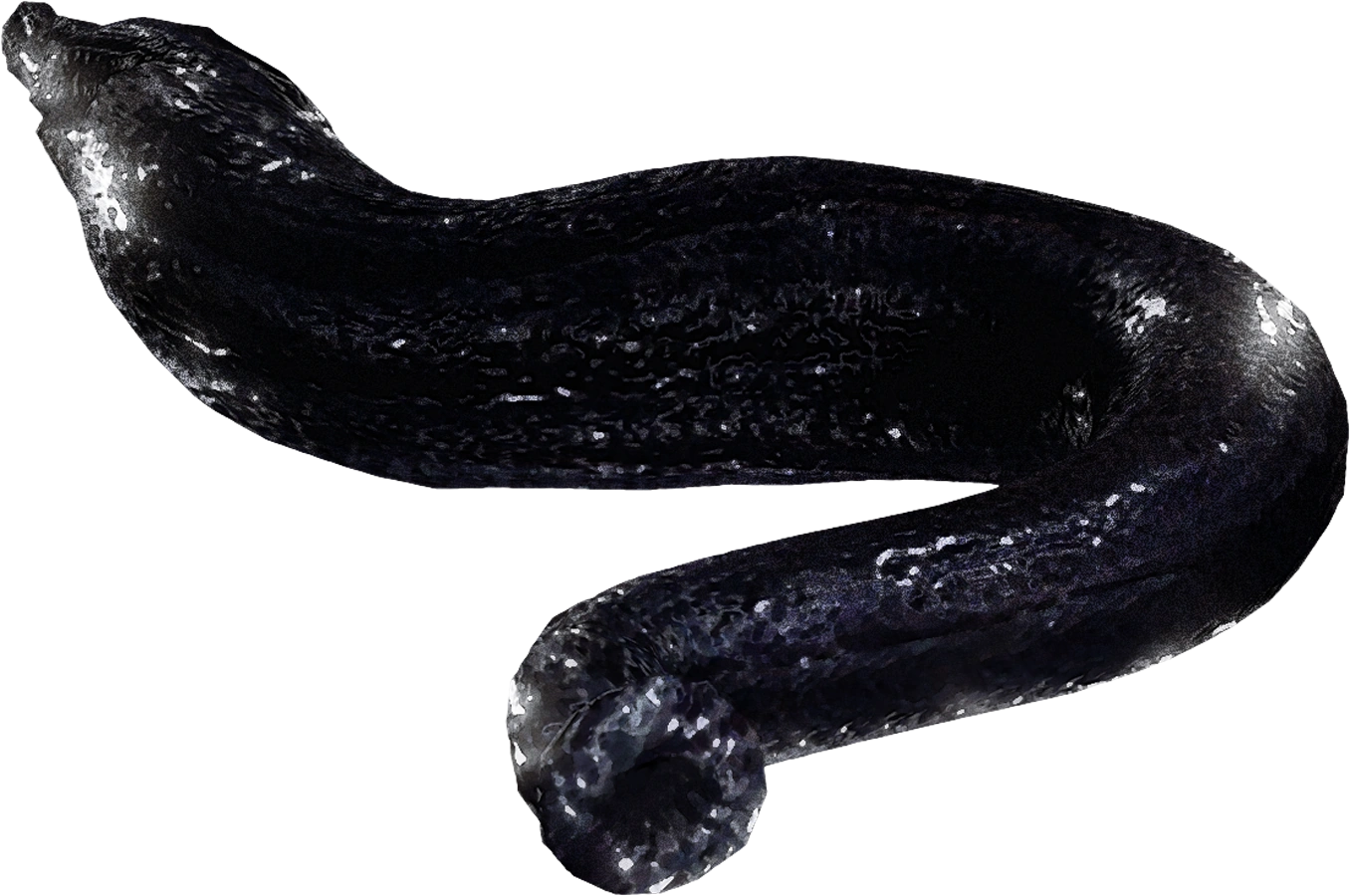 Leeches | Little Nightmares Wiki | FANDOM powered by Wikia