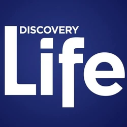 Discovery Life (United States) - Logopedia - Wikia