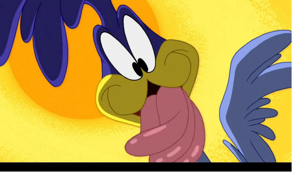 Image - Road Runner TLTS 2d.jpg | Looney Tunes Wiki | FANDOM powered by ...