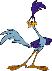 Correcaminos | Looney Tunes Wiki | Fandom powered by Wikia