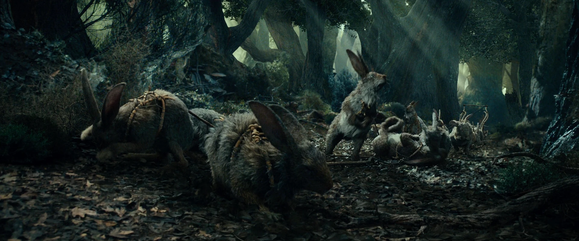 Rhosgobel Rabbits | The One Wiki to Rule Them All | Fandom powered by Wikia