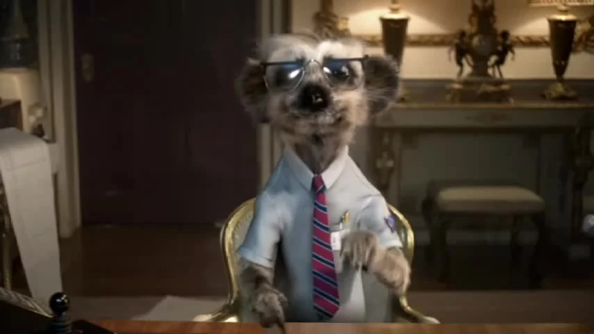 Image - Sergei.jpg | Meerkats Wiki | Fandom powered by Wikia
