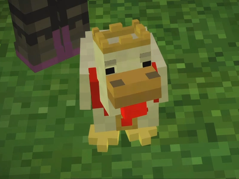 Eversource(Minecraft Story Mode) Minecraft Skin