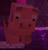 Reuben (Pig) | Minecraft Story Mode Wiki | FANDOM powered by Wikia