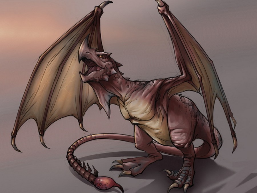 Wyvern | Monster Wiki | FANDOM powered by Wikia Wyvern | Monster Wiki | FANDOM powered by Wikia