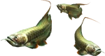Fish | Monster Hunter Wiki | Fandom powered by Wikia