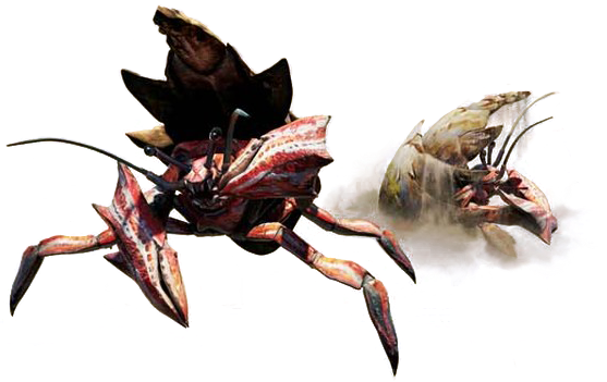 Carapaceon Wiki Monster Hunter Fandom Powered By Wikia