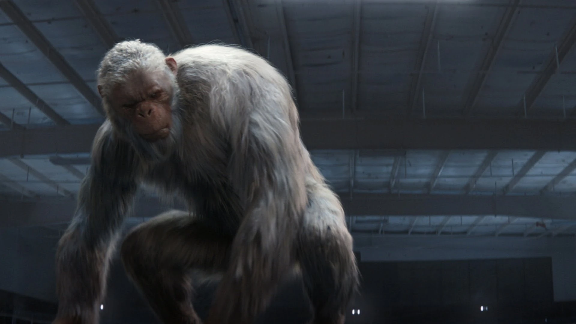 Abominable Snowman (Goosebumps) | Monster Moviepedia | FANDOM powered ...