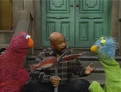 Episode 3795 | Muppet Wiki | Fandom powered by Wikia