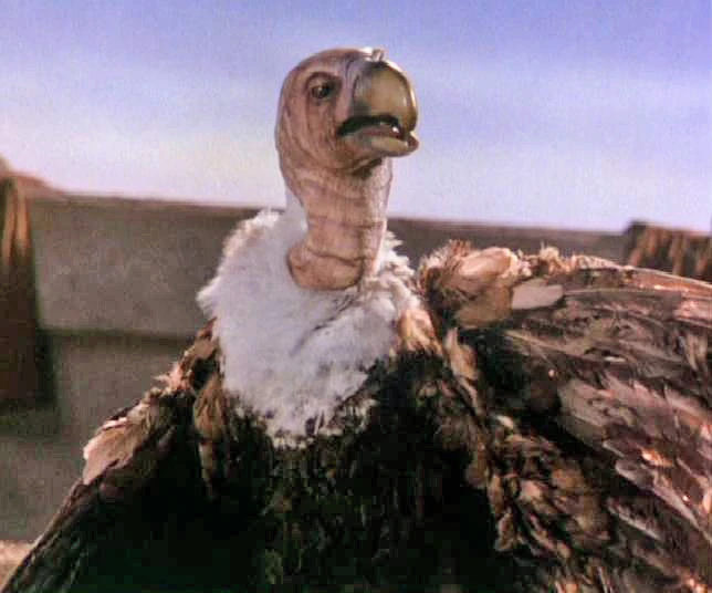 Vulture | Muppet Wiki | Fandom powered by Wikia