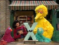 Episode 3833 | Muppet Wiki | Fandom powered by Wikia