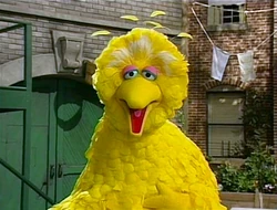 Episode 3884 | Muppet Wiki | FANDOM powered by Wikia