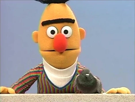 Episode 3961 | Muppet Wiki | Fandom powered by Wikia