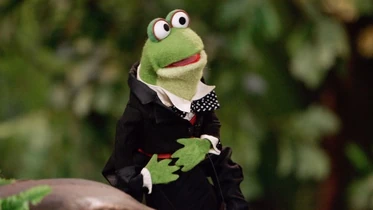 Frogs | Muppet Wiki | Fandom powered by Wikia