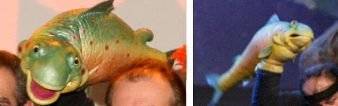 Image - PuppetUp Fish.JPG | Muppet Wiki | Fandom powered by Wikia