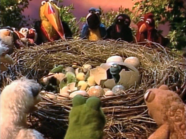 Let's Lay an Egg | Muppet Wiki | Fandom powered by Wikia