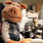 Andy and Randy Pig | Muppet Wiki | FANDOM powered by Wikia