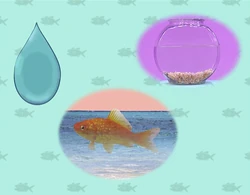 Elmo's World: Fish | Muppet Wiki | Fandom powered by Wikia