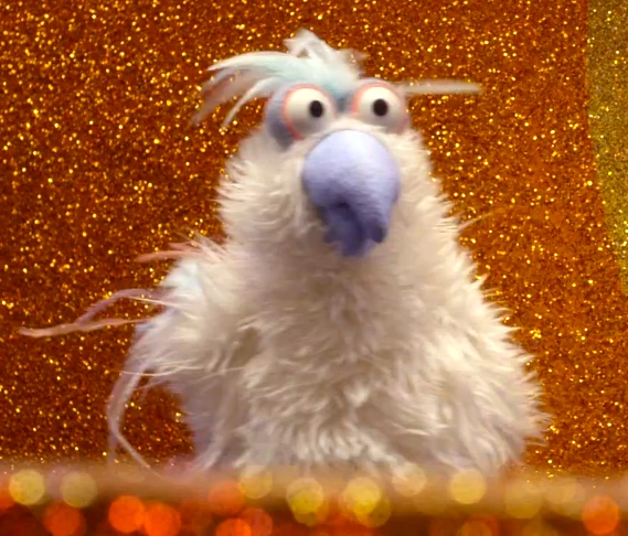 Cockatoo | Muppet Wiki | Fandom powered by Wikia