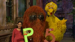 Episode 4171 | Muppet Wiki | Fandom powered by Wikia
