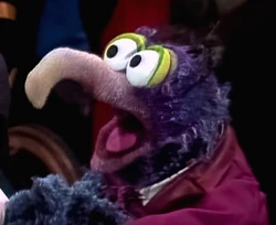 Gonzo Through the Years | Muppet Wiki | FANDOM powered by Wikia